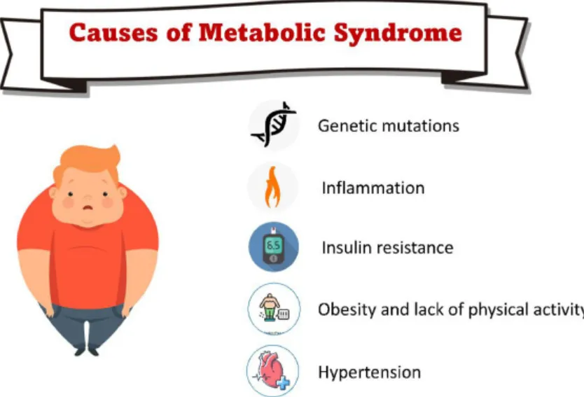 Common metabolism problems in adults - Info Top Bio