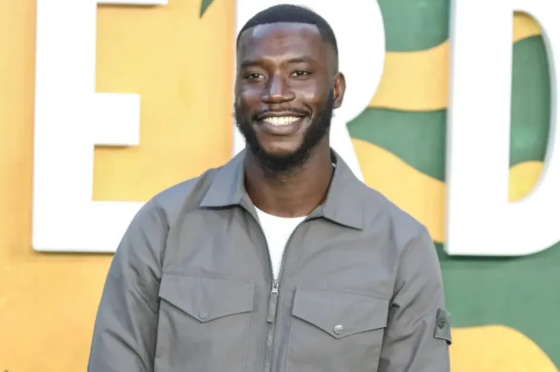 Harry Pinero Age, Height, Weight, Net Worth, Career, And Full Bio ...